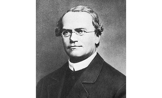 The monk who became the ‘father of genetics’ – Catholic Star Herald