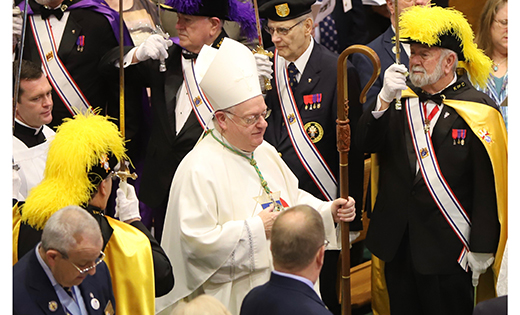 Knights praised and celebrated – Catholic Star Herald