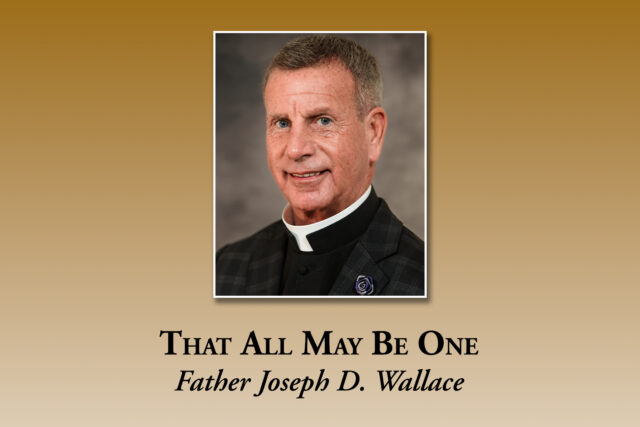 Pope’s encyclical an opportunity for collaborative theological ...