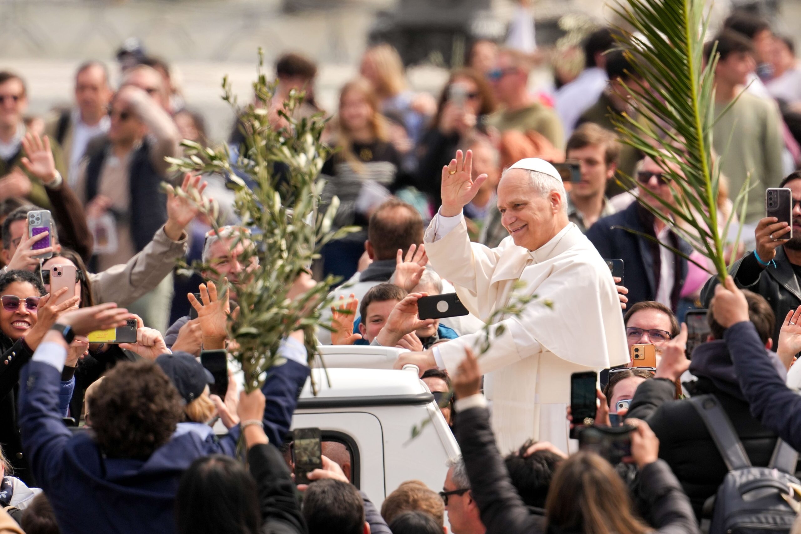 Pope Leo XIV’s first Palm Sunday – Catholic Star Herald