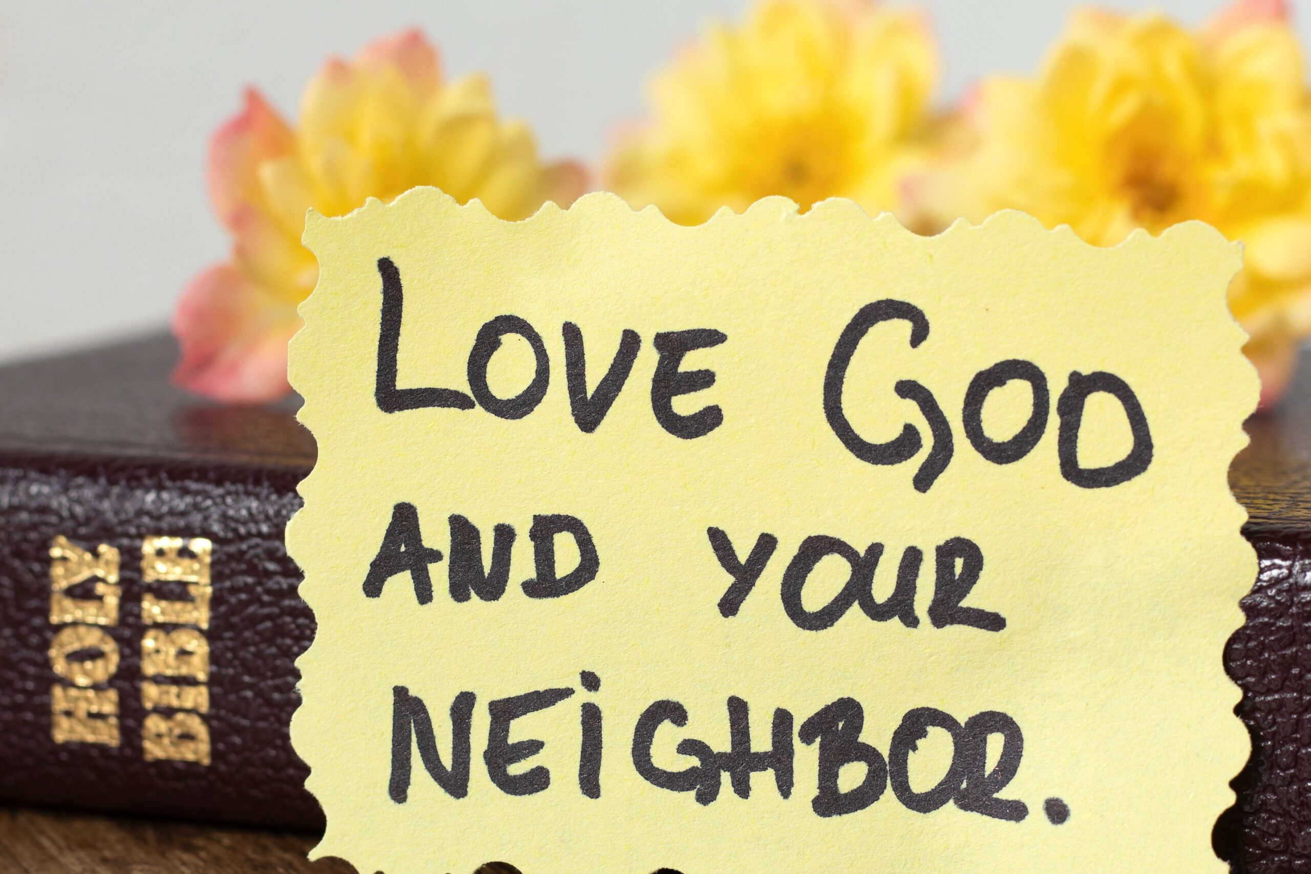 Know, love, serve: the timeless path to God – Catholic Star Herald